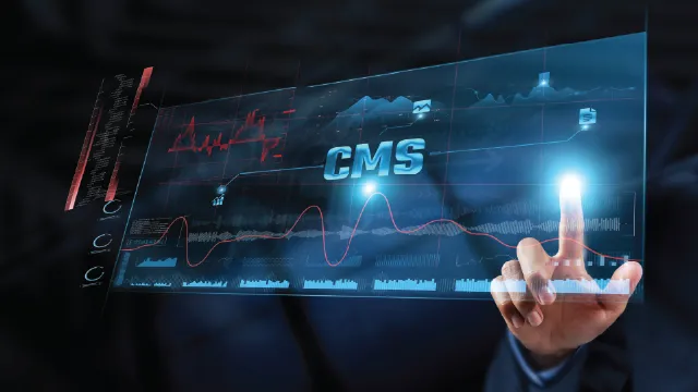 Everything You Need to Know About Video CMS